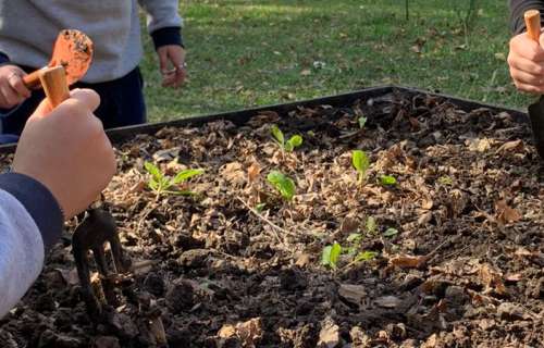 Escuela Raúl Arino UGR