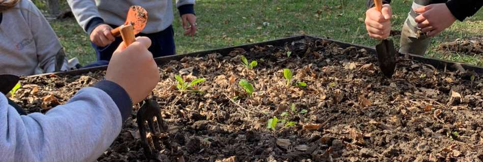Escuela Raúl Arino UGR